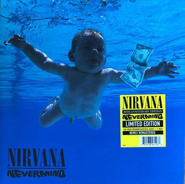 Nirvana – Nevermind – Vinyl Groove Gear